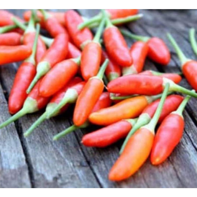 Jual cabe rawit merah 100 gram | Shopee Indonesia
