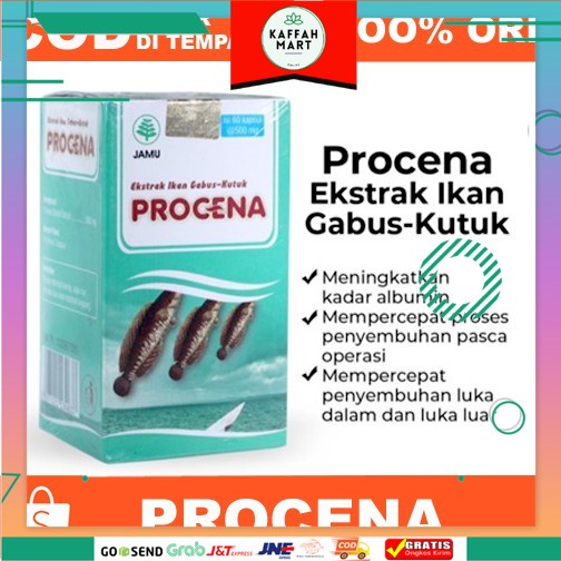 Jual PROCENA EKSTRAK IKAN GABUS 60 KAPSUL | Shopee Indonesia