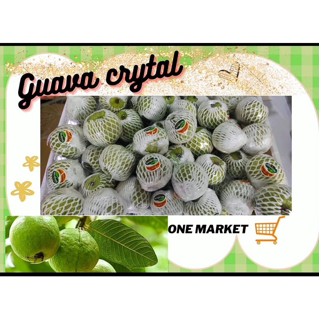 Jual Jambu kristal tanpa biji Guava crystal fress variasi 1 Kg | Shopee ...