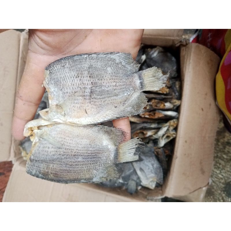 Jual Ikan Asin TEMBAKANG / TAMBAK grad A ; 1kg best selerr | Shopee ...
