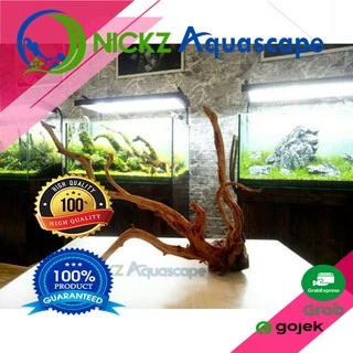 Produk Nickz aquascape | Shopee Indonesia