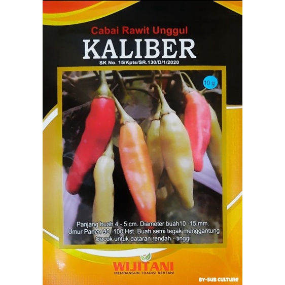 Jual Benih Cabe Rawit Unggul KALIBER WIJITANI 10 Gram - Cabai Rawet ...
