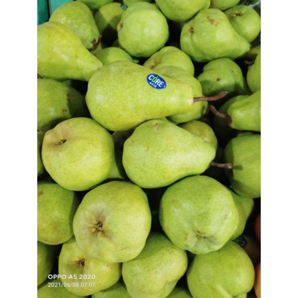 Jual Buah Pear Hijaupear Packamnuri Fruitsbuah Segar Bandung Shopee Indonesia