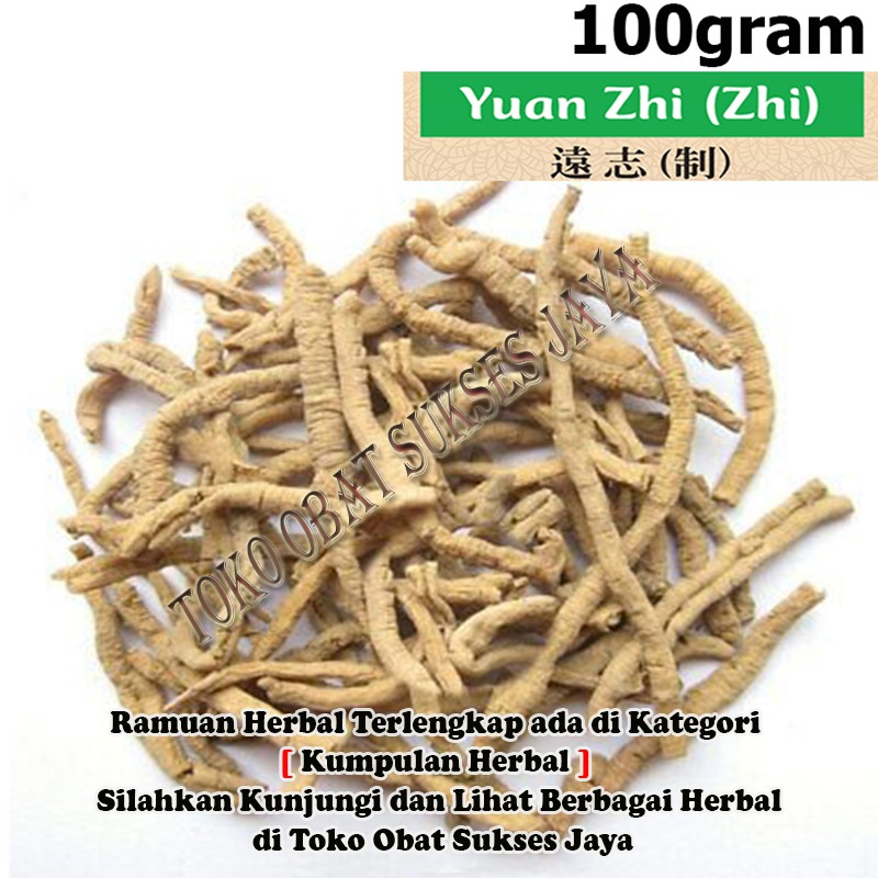 Jual [100gram] Yuan Zhi / Chinese Senega Root - Radix Polygalae ...