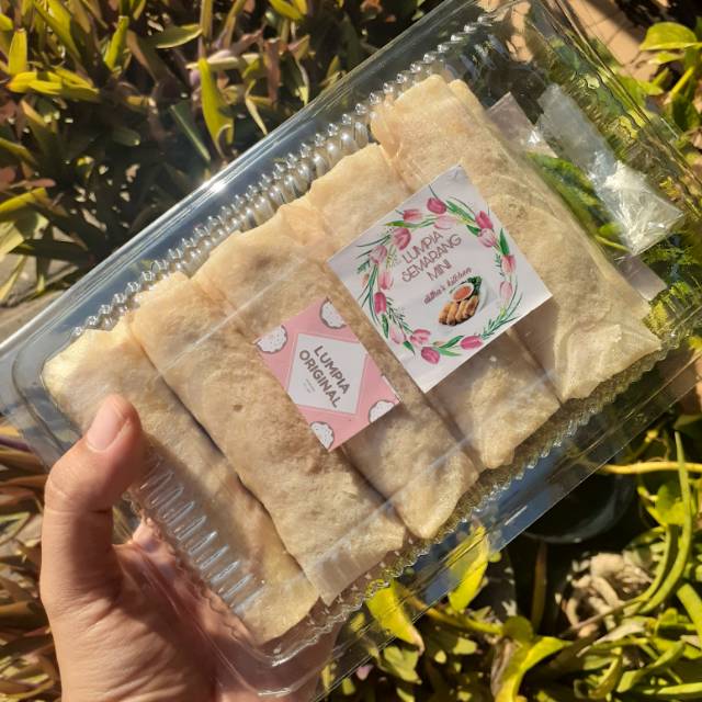 Jual LUMPIA ORIGINAL BESAR HARGA PER BOX ISI 10 BIJI (TANPA COCOLAN ...