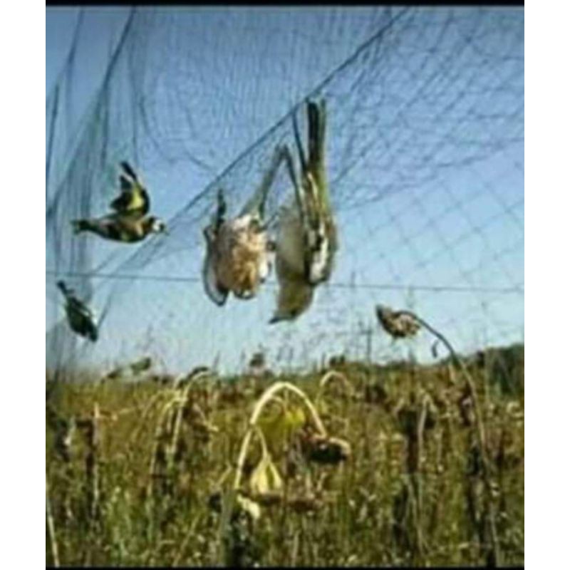 Jual jaring perangkap burung ukuran 60m x 2.5m | Shopee Indonesia