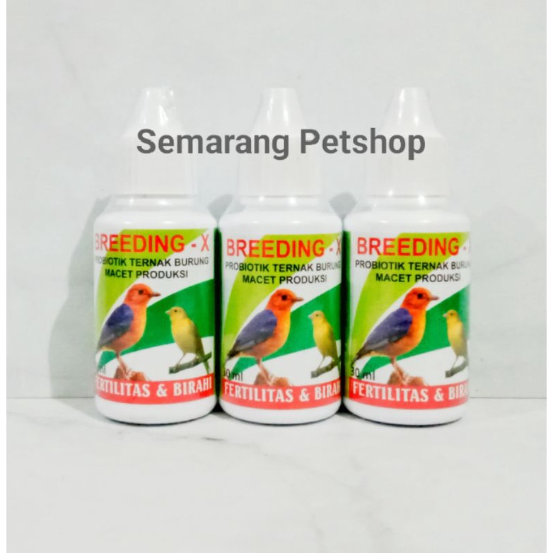 Jual Obat Birahi Burung Kenari Obat Birahi Burung Murai Batu Obat ...