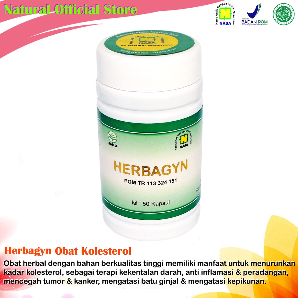 Jual OBAT PENURUN KOLESTEROL HERBAGYN ORIGINAL | Shopee Indonesia