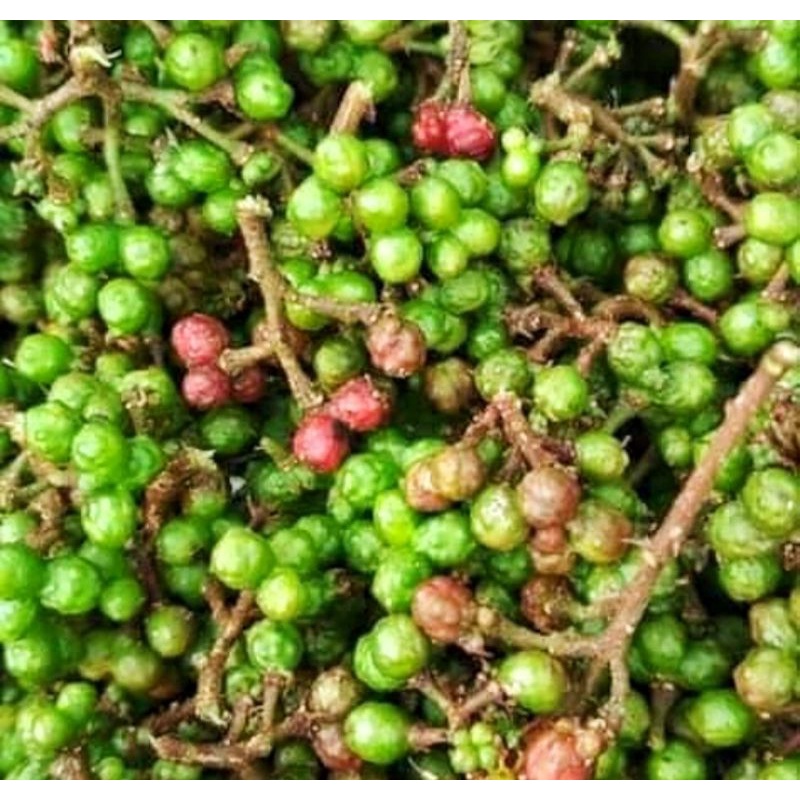 Jual BISA COD 250 GRAM ANDALIMAN SEGAR/REMPAH REMPAH/MERICA BATAK/ TUBA ...