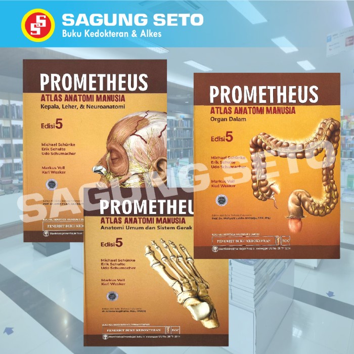 Jual Prometheus Atlas Anatomi Manusia Edisi 5 New / Promet / Prome ...