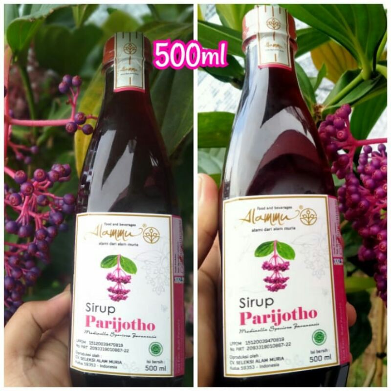 Jual sirup parijoto | Shopee Indonesia