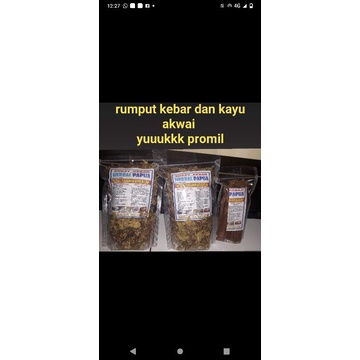 Jual Rumput kebar papua | Shopee Indonesia