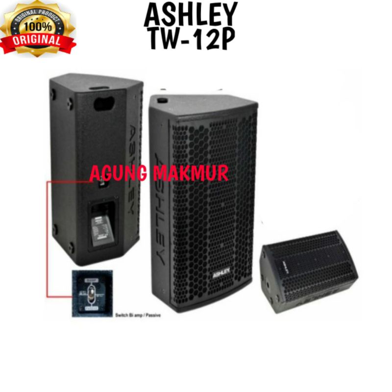 Jual Speaker Pasif Ashley TW 12P Original Passive TW12P - 12 inch ...