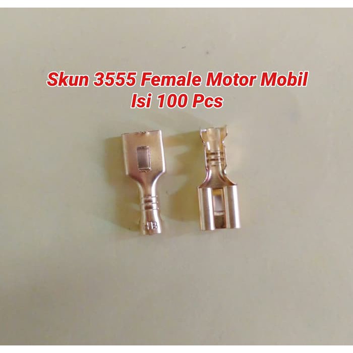 Jual Skun Mobil 3555 Female Skun Motor 100 pcs | Shopee Indonesia