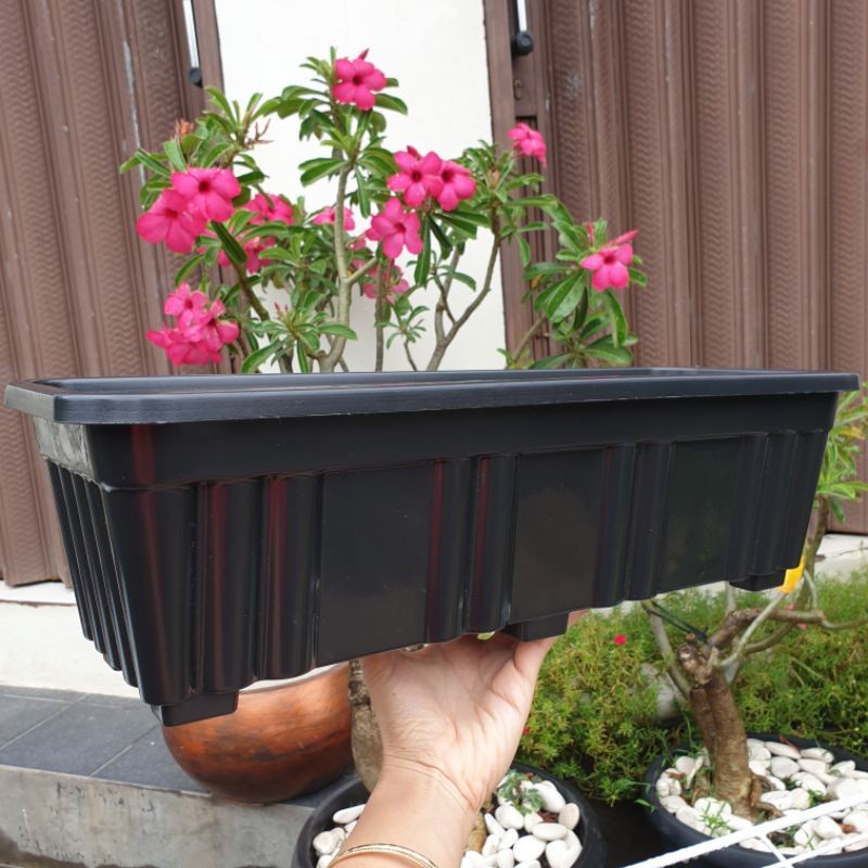 Jual POT PANJANG ALPEN 50 Pot bunga segi panjang Pot kotak panjang ...