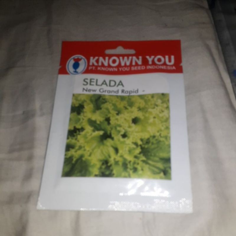 Jual jual benih selada new grand rapid | Shopee Indonesia