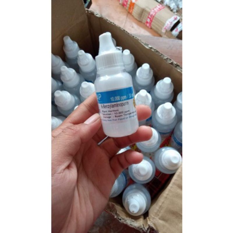 Jual hormon 6-bap biru | Shopee Indonesia