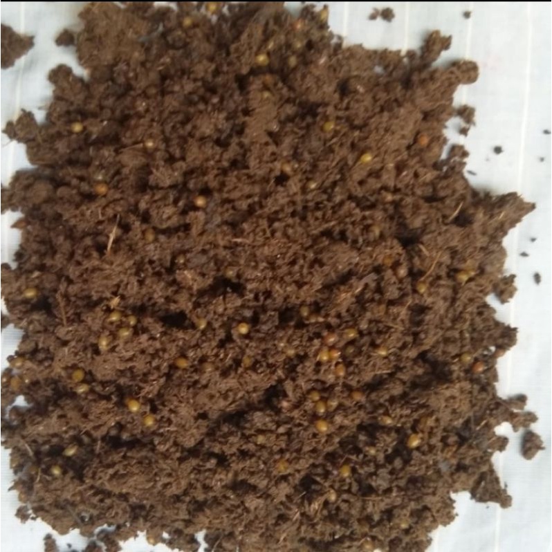 Jual telur cacing tanah (kokon) isi 100 pcs | Shopee Indonesia