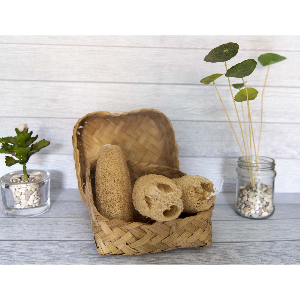 Jual Paket Keluarga - Gambas/Loofah Sponge Bath -Bulat - Isi 3 pcs ...