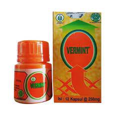 Jual VERMINT ISI 30 KAPSUL @ 250mg OBAT THYPUS /TIPUS TIPES OBAT DEMAM ...