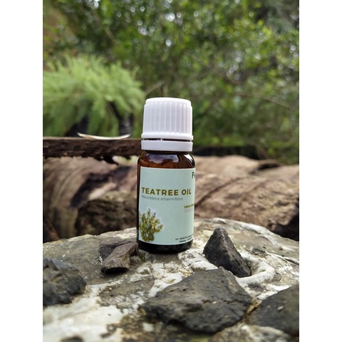 Jual 10 ml sampel - minyak tea tree / tea tree oil (Melaleuca ...