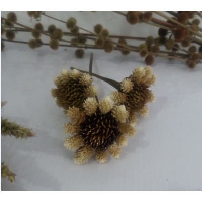 Jual dried flower / bunga kancing | Shopee Indonesia