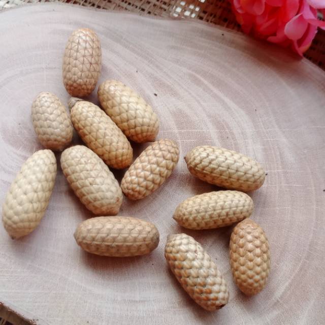 Jual Biji rotan panjang bahan mahar dan craft bahan rustic mahar ...