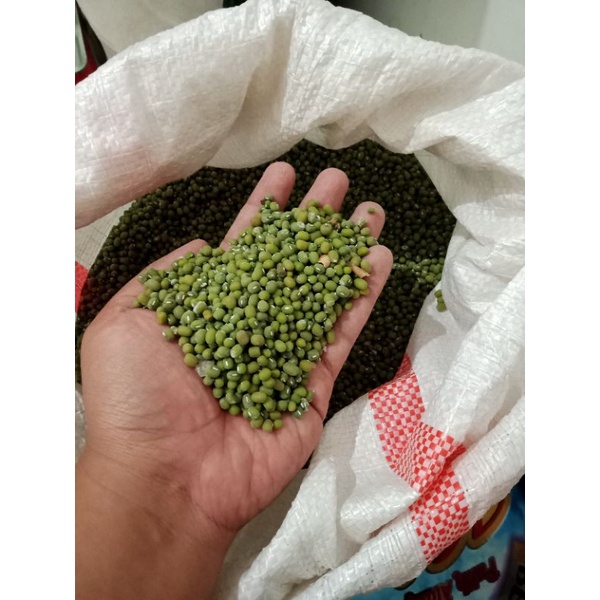 Jual kacang hijau 1kg | Shopee Indonesia