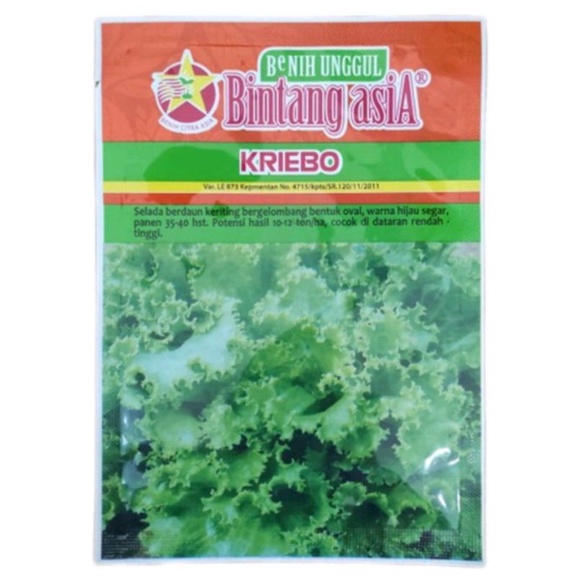 Jual Benih Selada kriting KRIBO 10 Gram Bintang Asia | Shopee Indonesia