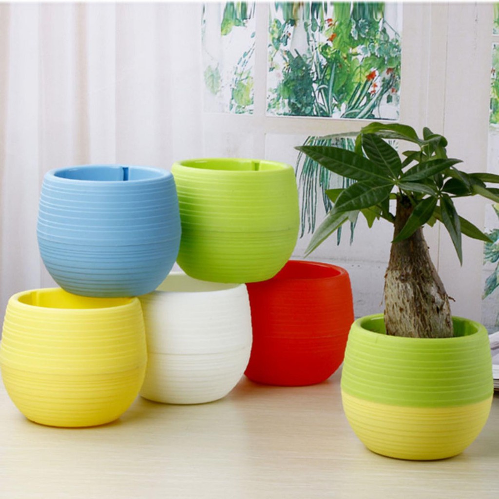Jual Mini Pot Bunga Hias Kaktus Tanaman - 5pcs | Shopee Indonesia