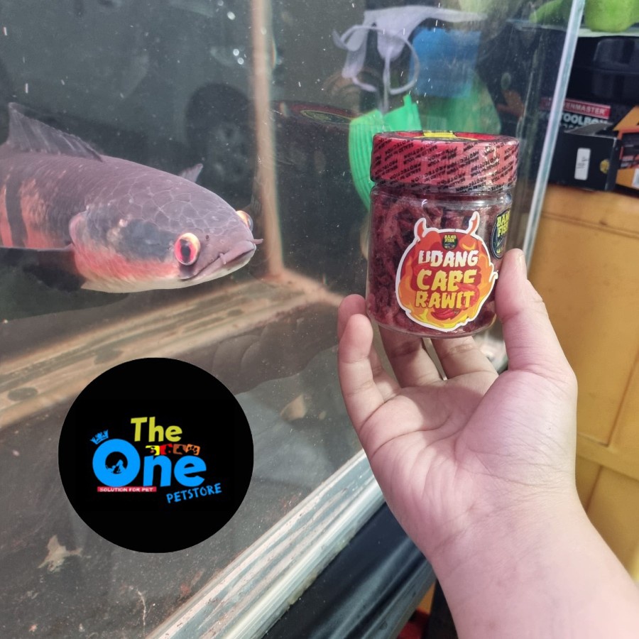 Jual UDANG CABE RAWIT RED ORIGINAL BANGFISH x FAJAR ARIEF 10 BAHAN ...