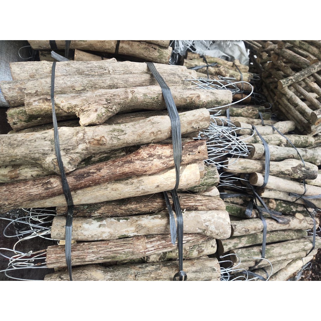 Jual Batang kayu kopi Media tanaman Batang kayu kopi media kayu kopi ...