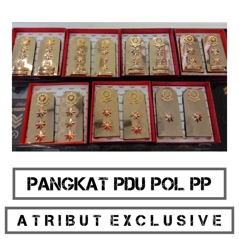 Jual Pangkat PDU Polpp Satpolpp Bupati Gubernur Wakil | Shopee Indonesia