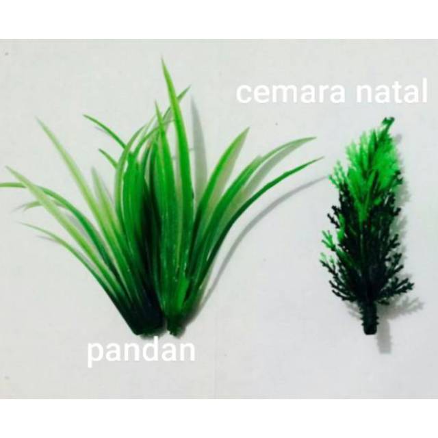 Jual rumput cemara natal dan rumput pandan | Shopee Indonesia