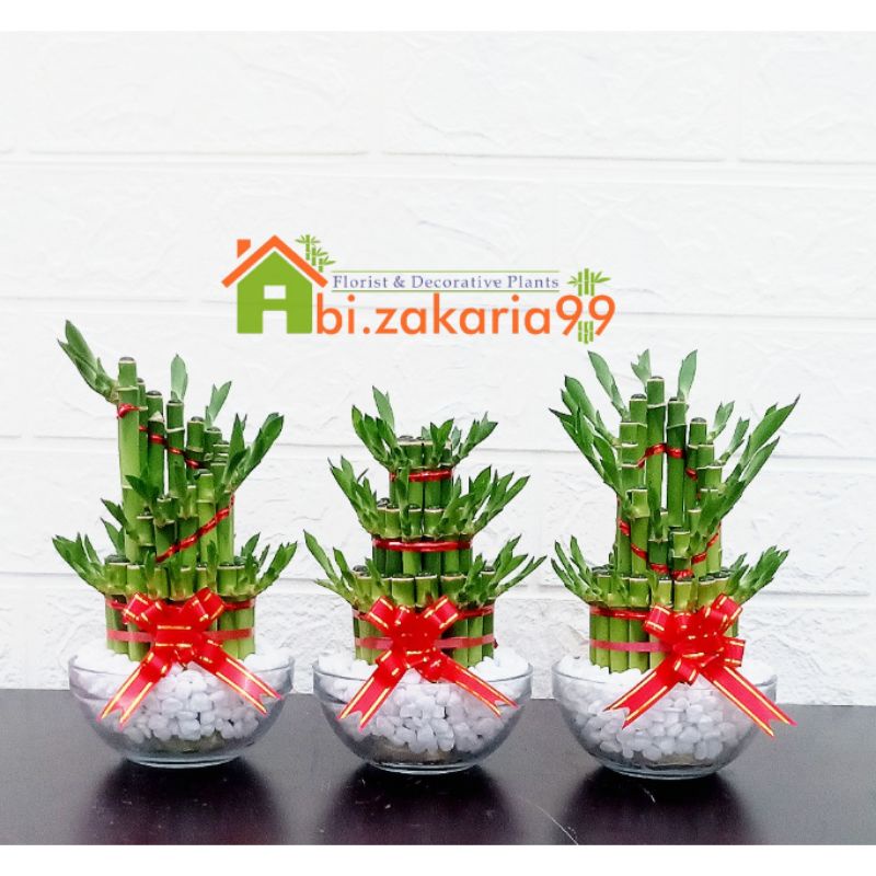 Jual PAJANGAN/HIASAN MEJA KERJA/ KANTOR/ BAMBU HOKI MINI/ SRI REJEKI ...