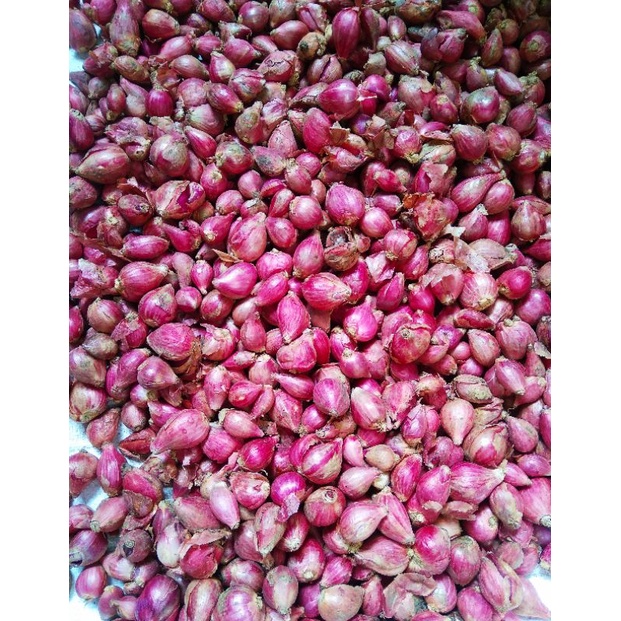 Jual BAWANG MERAH SEGAR 500 - 1000gram | Shopee Indonesia