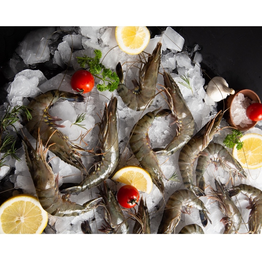 Jual Black Tiger Shrimp/Udang Tiger/Pancet JUMBO Utuh Fresh Frozen ...