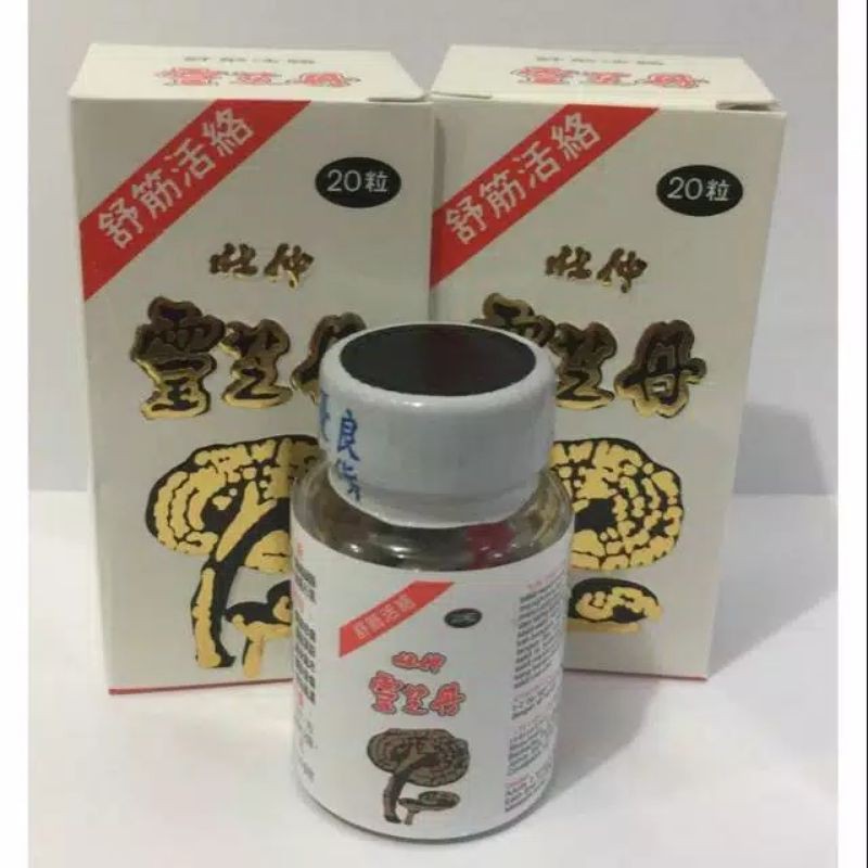 Jual lin chee tan jamur import obat rematik | Shopee Indonesia