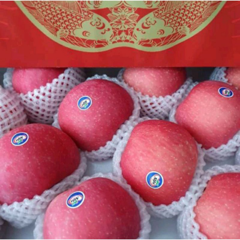 Jual APEL FUJI PREMIUM | BUAH SEGAR 500 GRAM | Shopee Indonesia