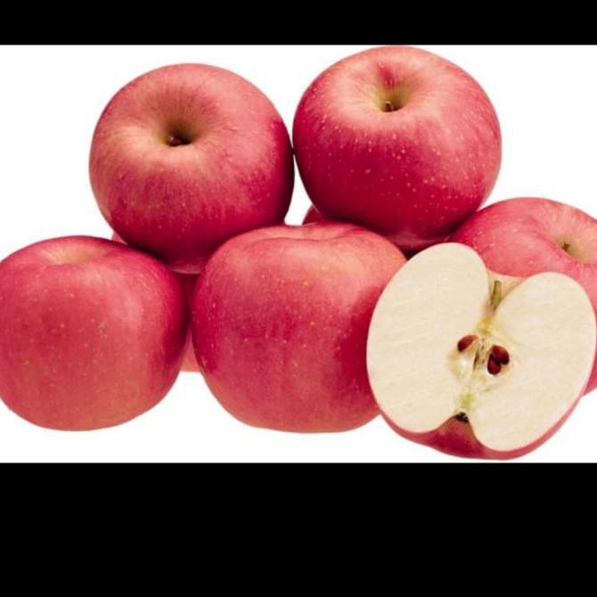 Jual SAYUR & BUAH BUAH APEL FUJI PREMIUM JUS FRESH SEGAR MAKANAN ...