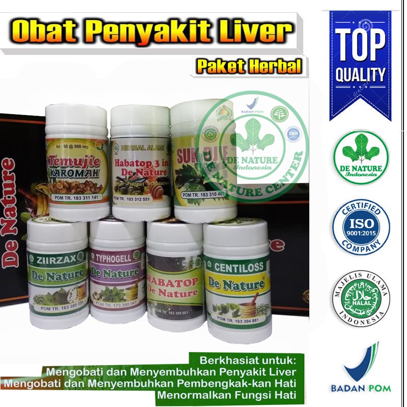 Jual Obat Herbal Penyakit Kuning, Hati, Liver, Liper, Radang Hati ...