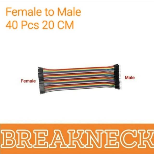 Jual Kabel Jumper Arduino Female to Male 20 CM 40 Pin | Shopee Indonesia