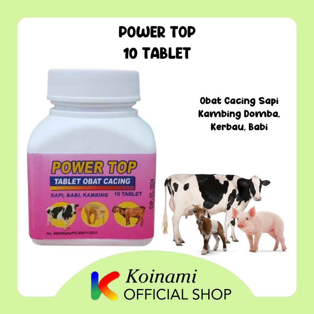 Jual POWER TOP 10 Tablet OBAT CACING SAPI KAMBING DOMBA KERBAU BABI ...