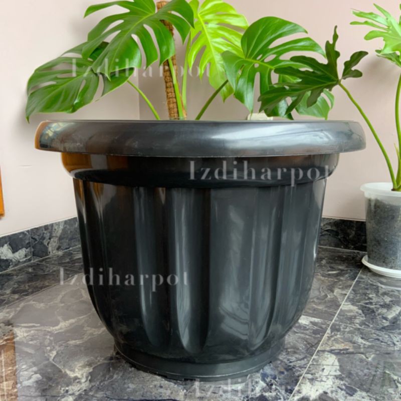 Jual pot bunga tanaman plastik hitam diameter 50cm - JUMBO HITAM ...