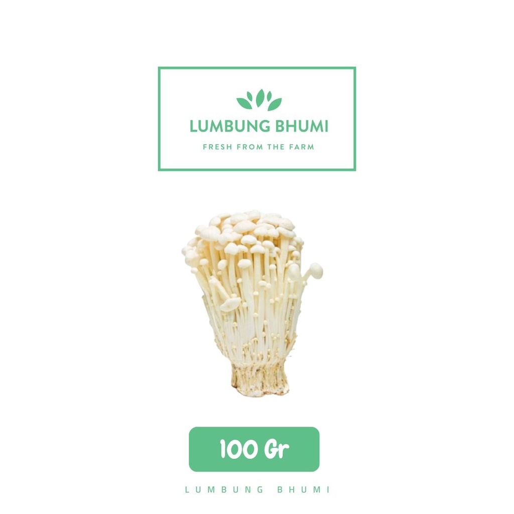 Jual Lumbung Bhumi - Jamur Enoki Cina 1 Pcs ( Sayur Curah ) | Shopee ...