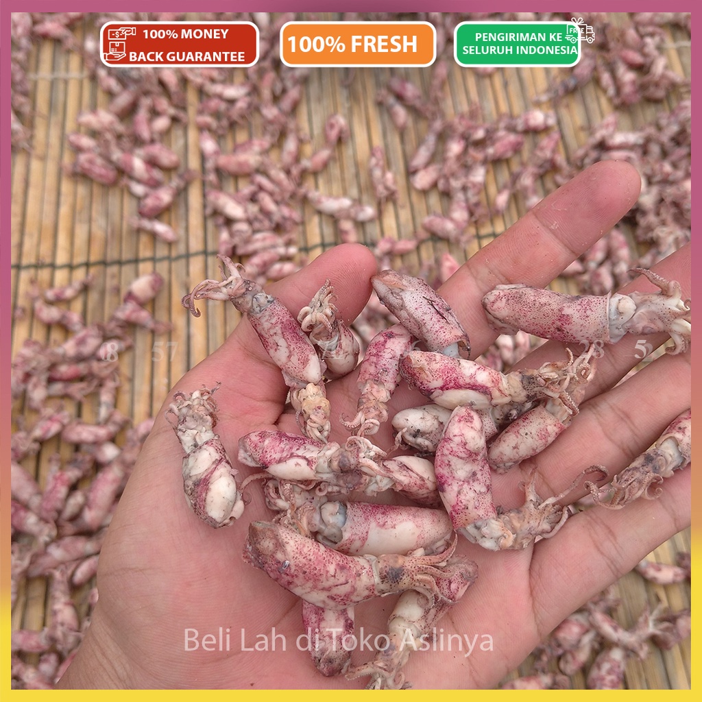 Jual Baby Cumi Rebus Asin - Ikan Asin 1Kg (KHUSUS PULAU JAWA) | Shopee ...