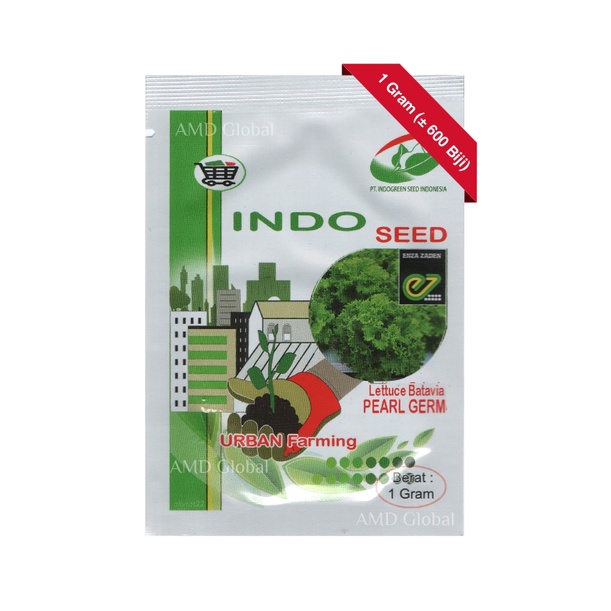 Jual Benih Selada Grand Rapids Pearl Germ Enza Zaden Indo Seed Isi 1 ...