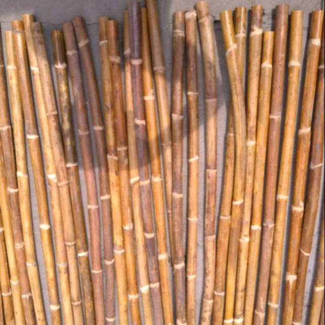 Jual Rotan kulit asli diameter 2cm panjang 50cm | Shopee Indonesia