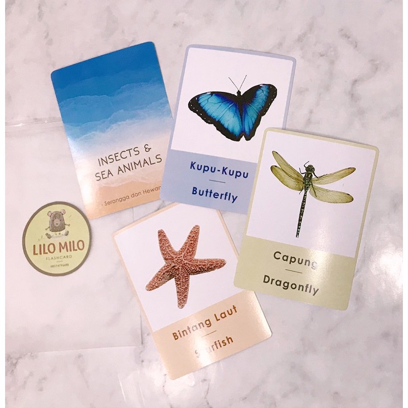 Jual LILOMILO Flashcard INSECTS & SEA ANIMAL / serangga & binatang laut ...