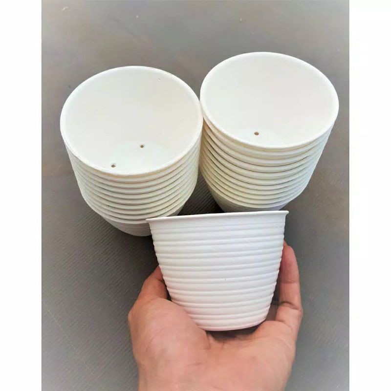 Jual pot tawon ukuran 10cm (harga satuan) | Shopee Indonesia